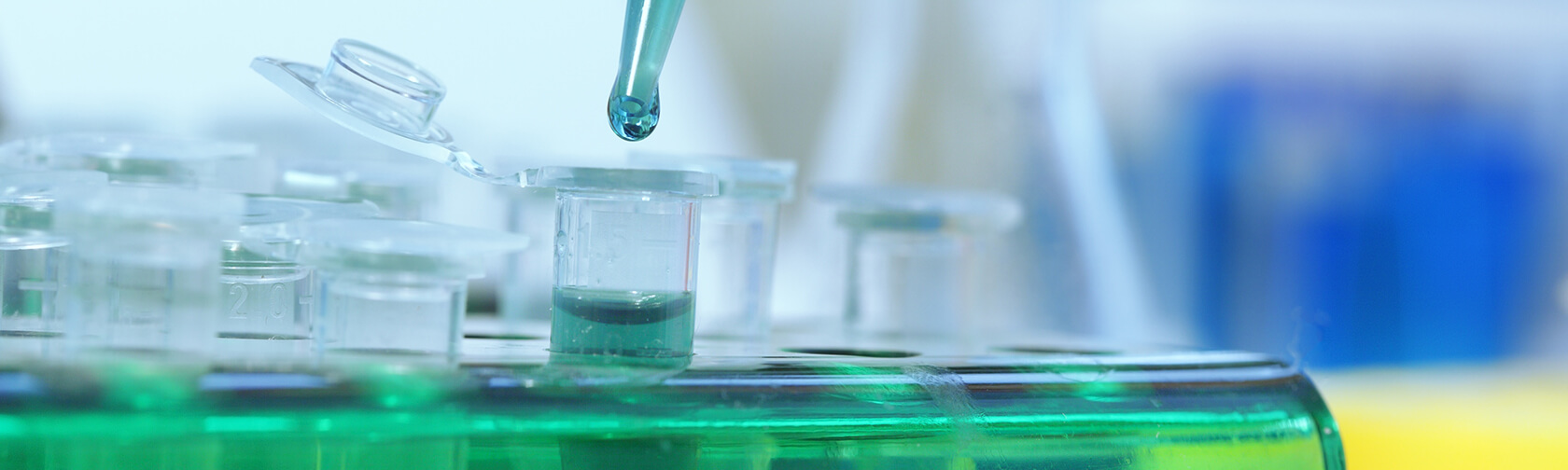 DNA tests for dogs, cats and other animals - AnimaLabs©